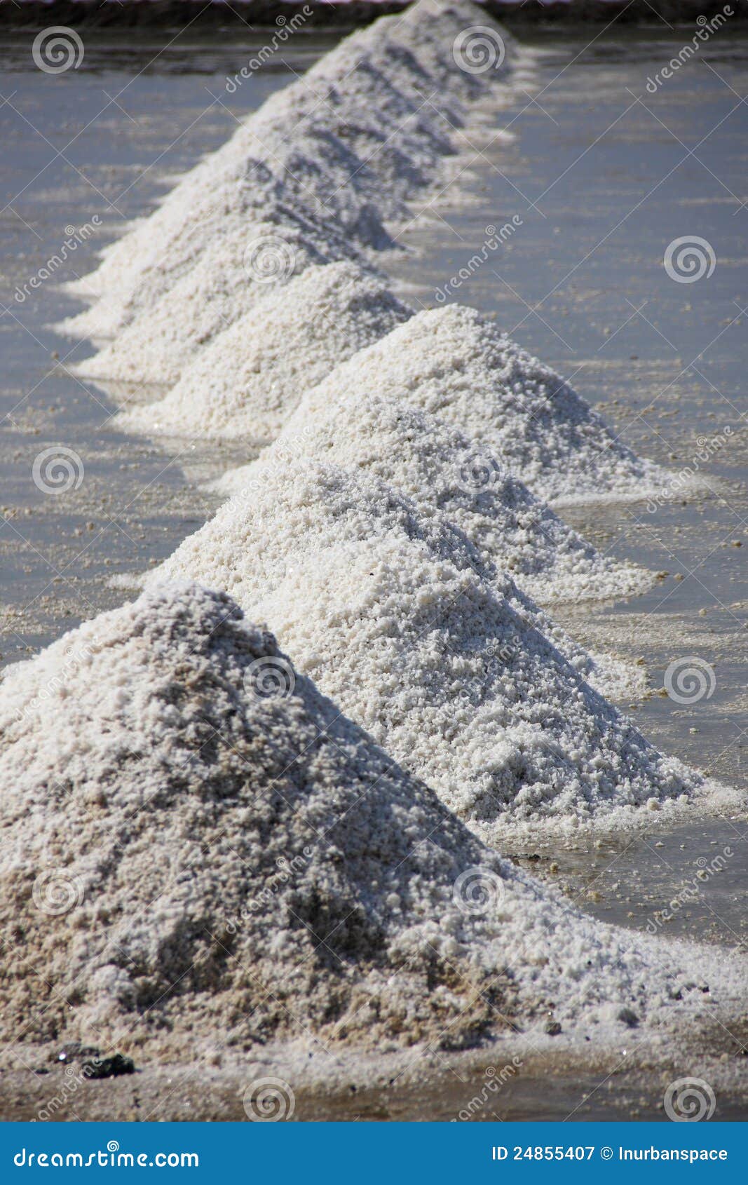 Salt on the Salt Pan at Rural Area,Thailand Stock Image - Image of farm ...