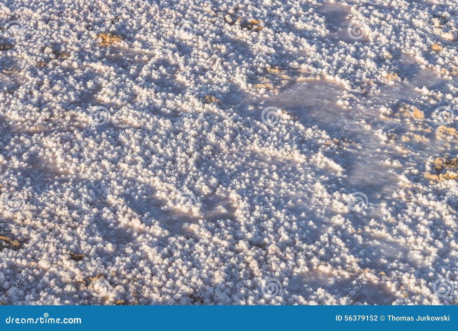 Salt See in Sahara Tunesien Stockfoto - Bild von araber, oase: 56379152