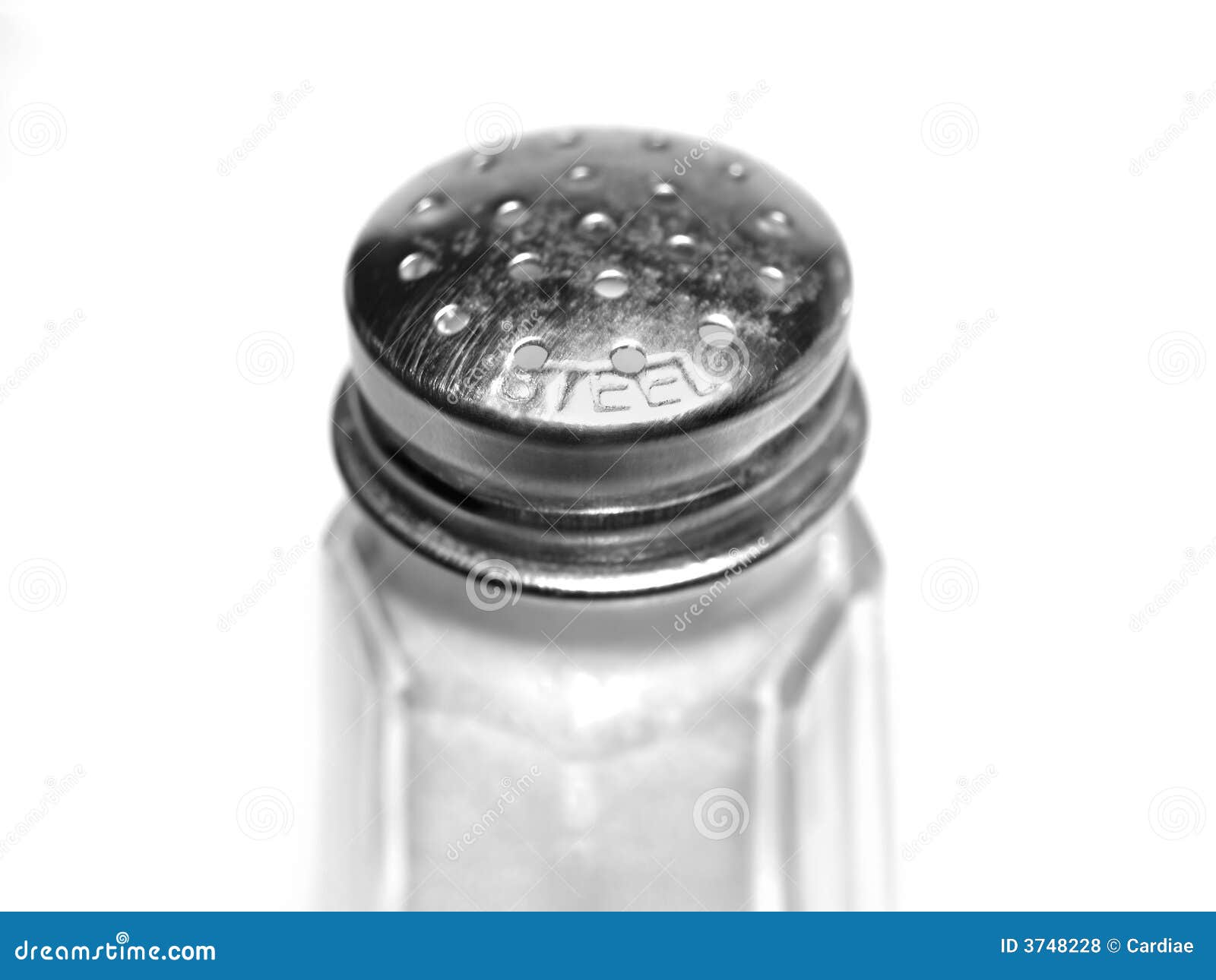 Salt Shaker stock photo. Image of food, spread, stainless - 3748228
