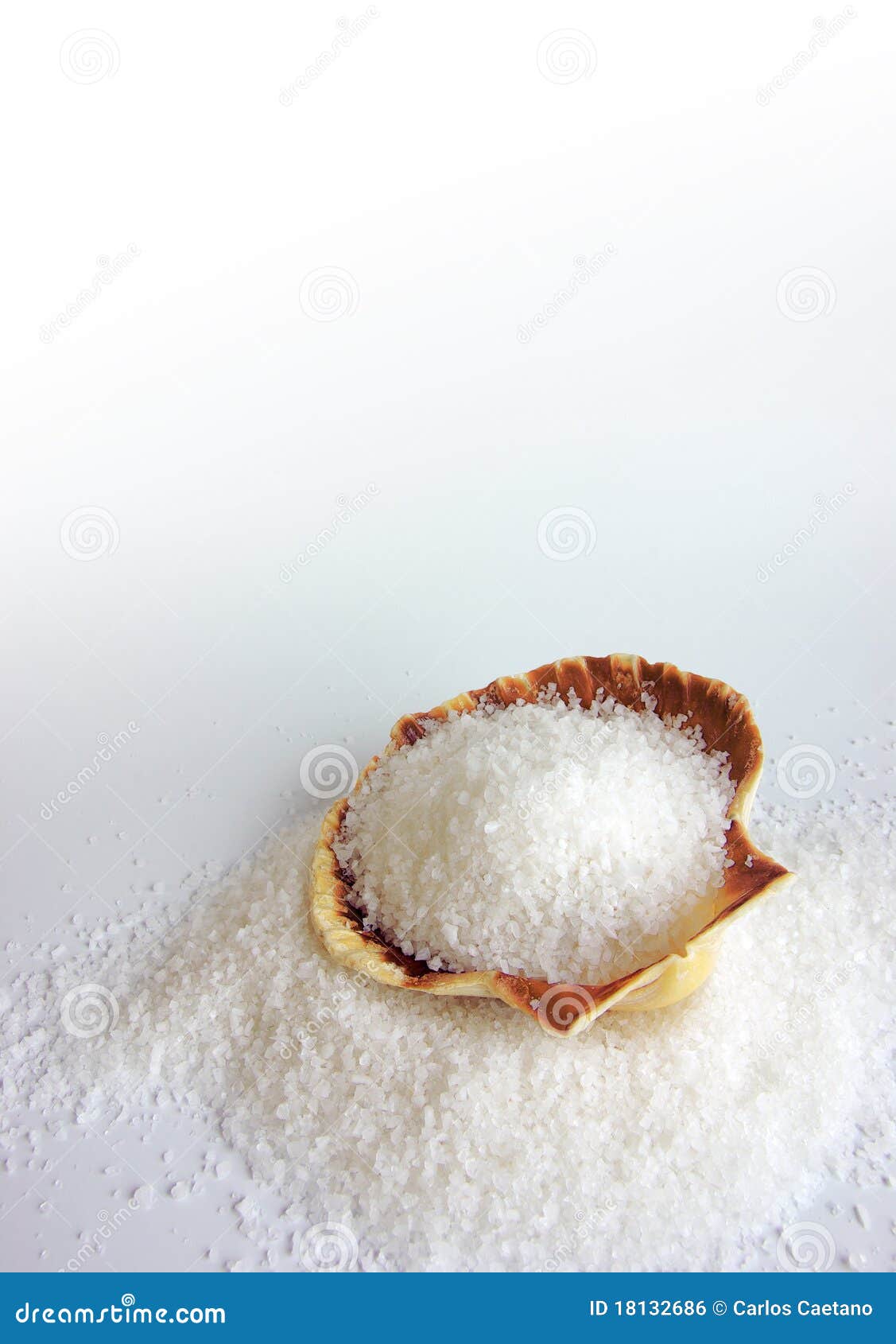 Salt on Shell stock photo. Image of cooking, flavor, cook - 18132686