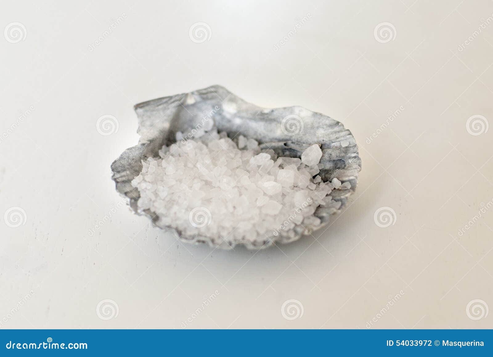 Salt in a shell stock photo. Image of sapido, marino - 54033972