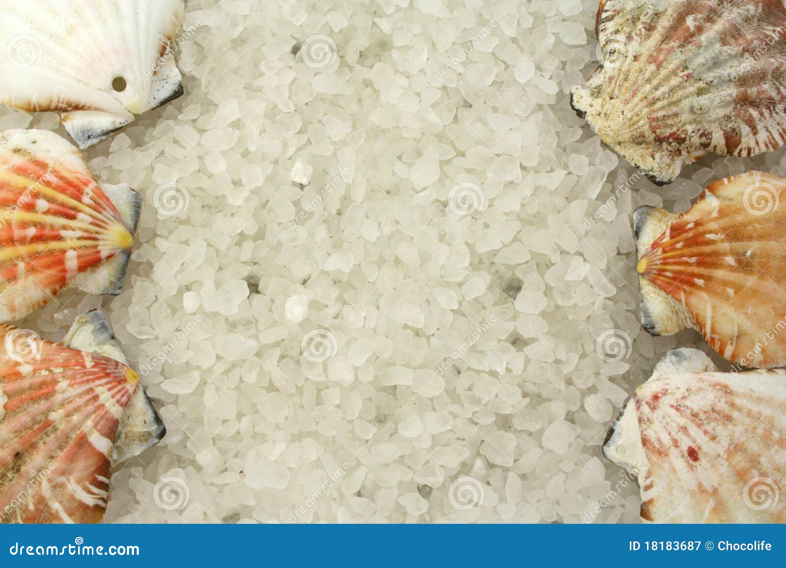 Salt and shells stock image. Image of close, nature, lifestyles - 18183687