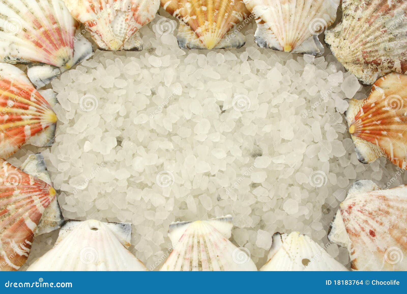 Salt and shells stock photo. Image of mineral, medicine - 18183764