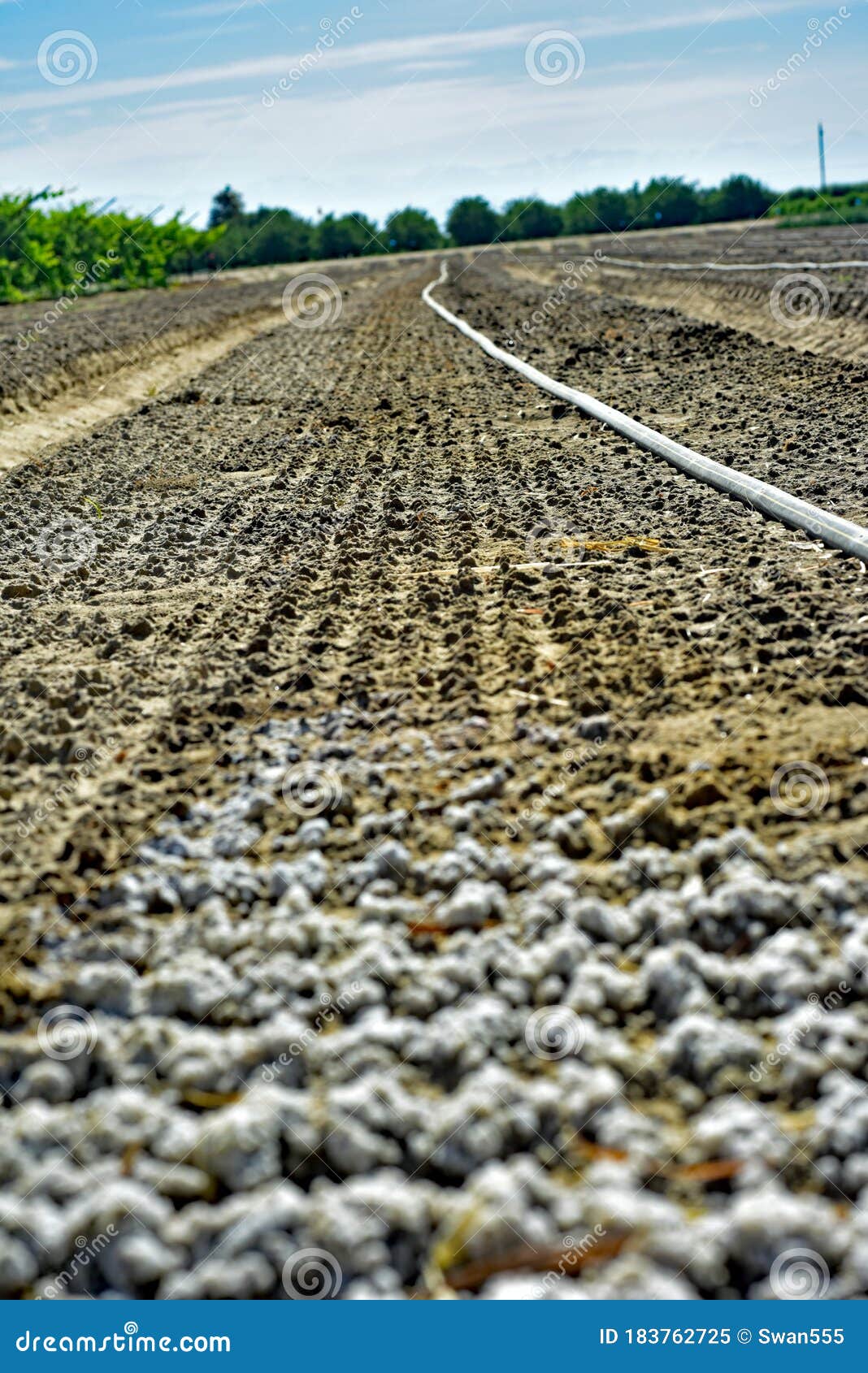 Salt Soil Crust Caused by the Leaching Stock Image - Image of desert ...