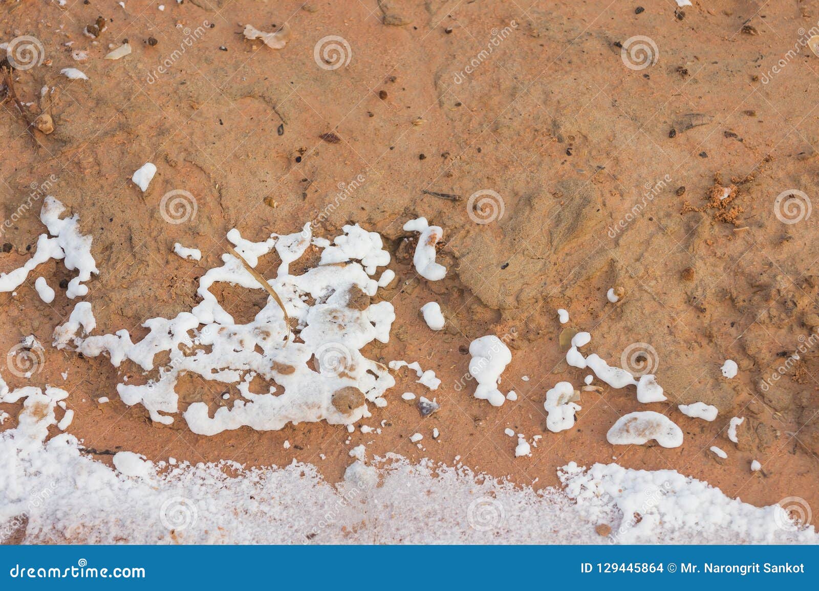 Salt on the soil surface stock photo. Image of outdoor - 129445864