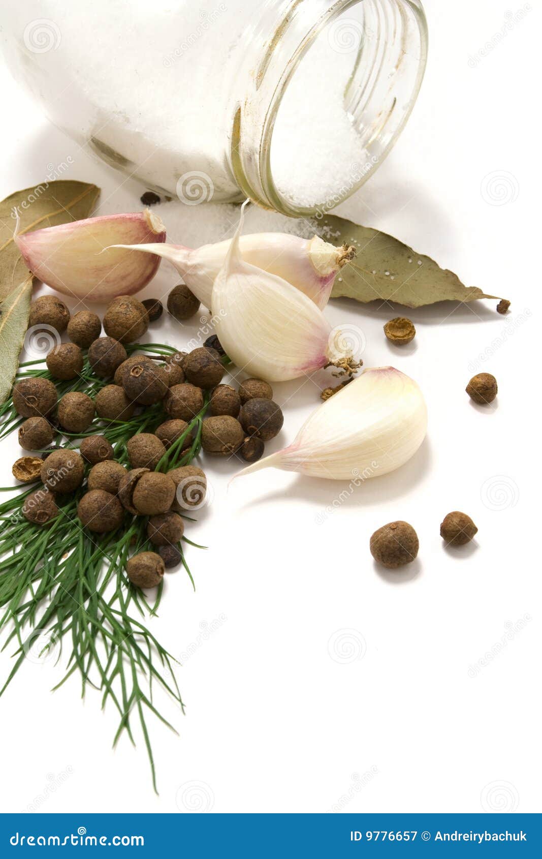 Salt and spice stock image. Image of bulb, studio, seasoning - 9776657