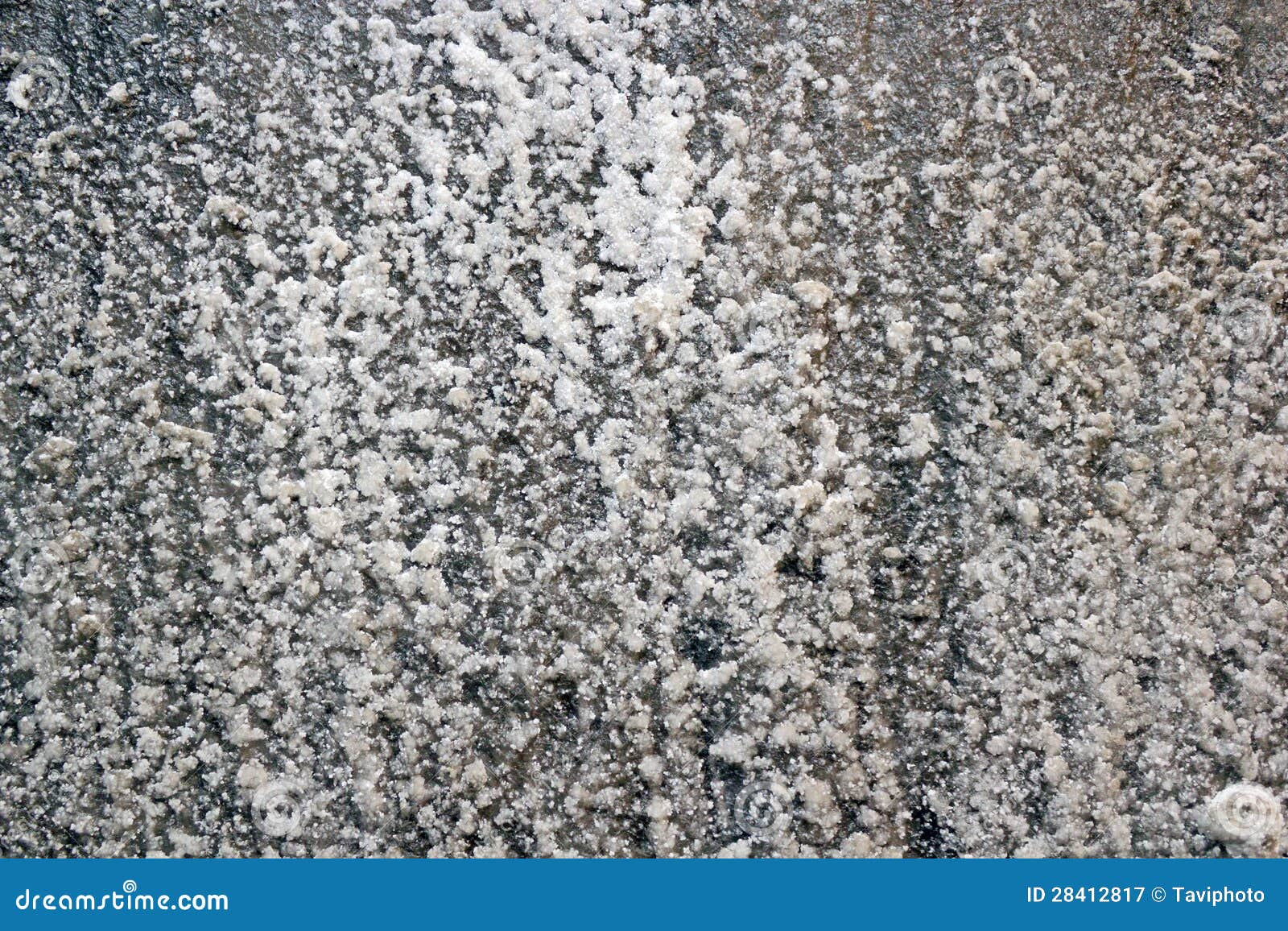 Salt Wall Texture Royalty-Free Stock Photo | CartoonDealer.com #28412817