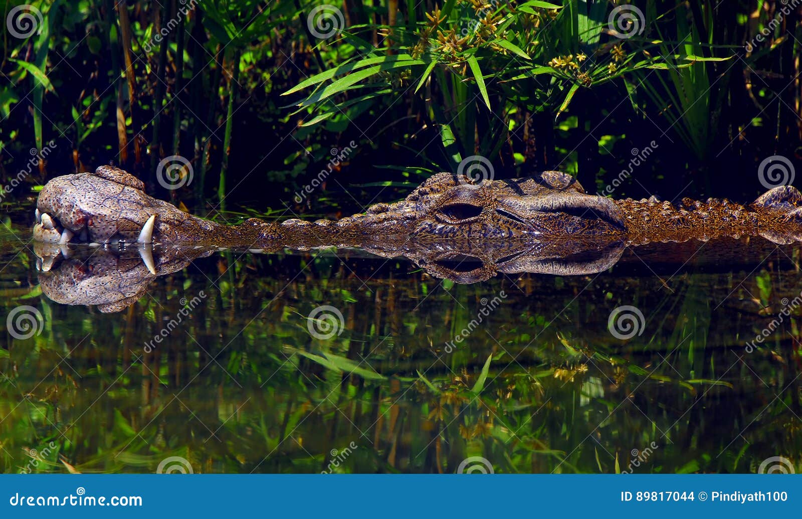 Salt Water Corrosion - Wear And Tear - Erosion And Damage In An Old ...