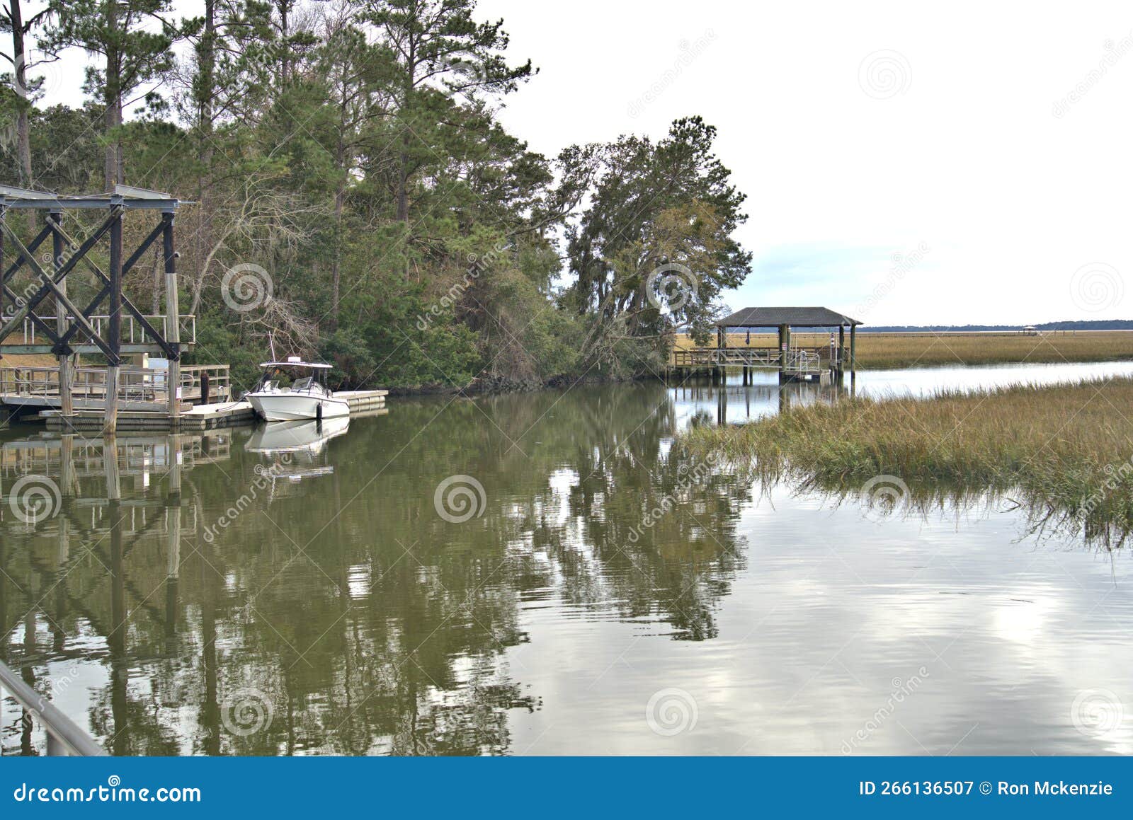 Salt Water Marsh stock image. Image of lake, person - 266136507