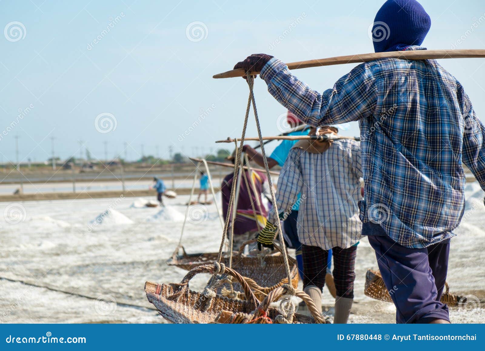 Salt worker editorial stock photo. Image of people, saline - 67880448