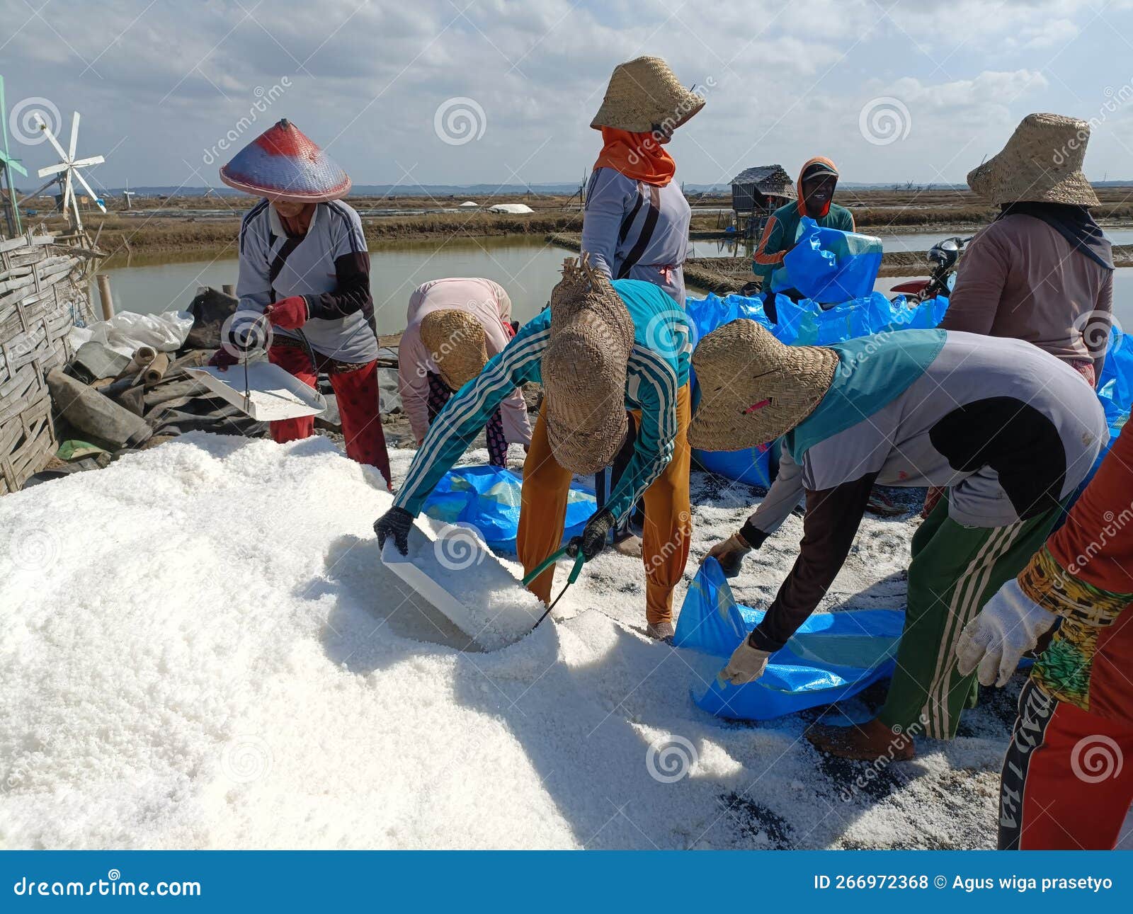 Salt Workers Fill Salt into Sacks Editorial Stock Photo - Image of boat ...