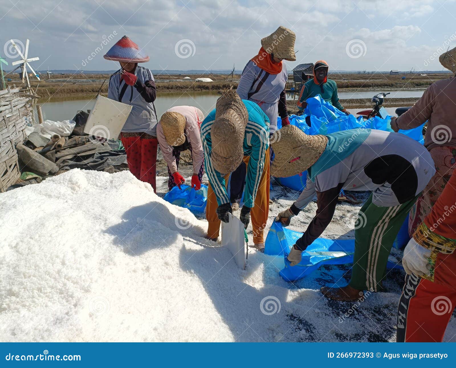 Salt Workers Fill Salt into Sacks Editorial Stock Photo - Image of ...