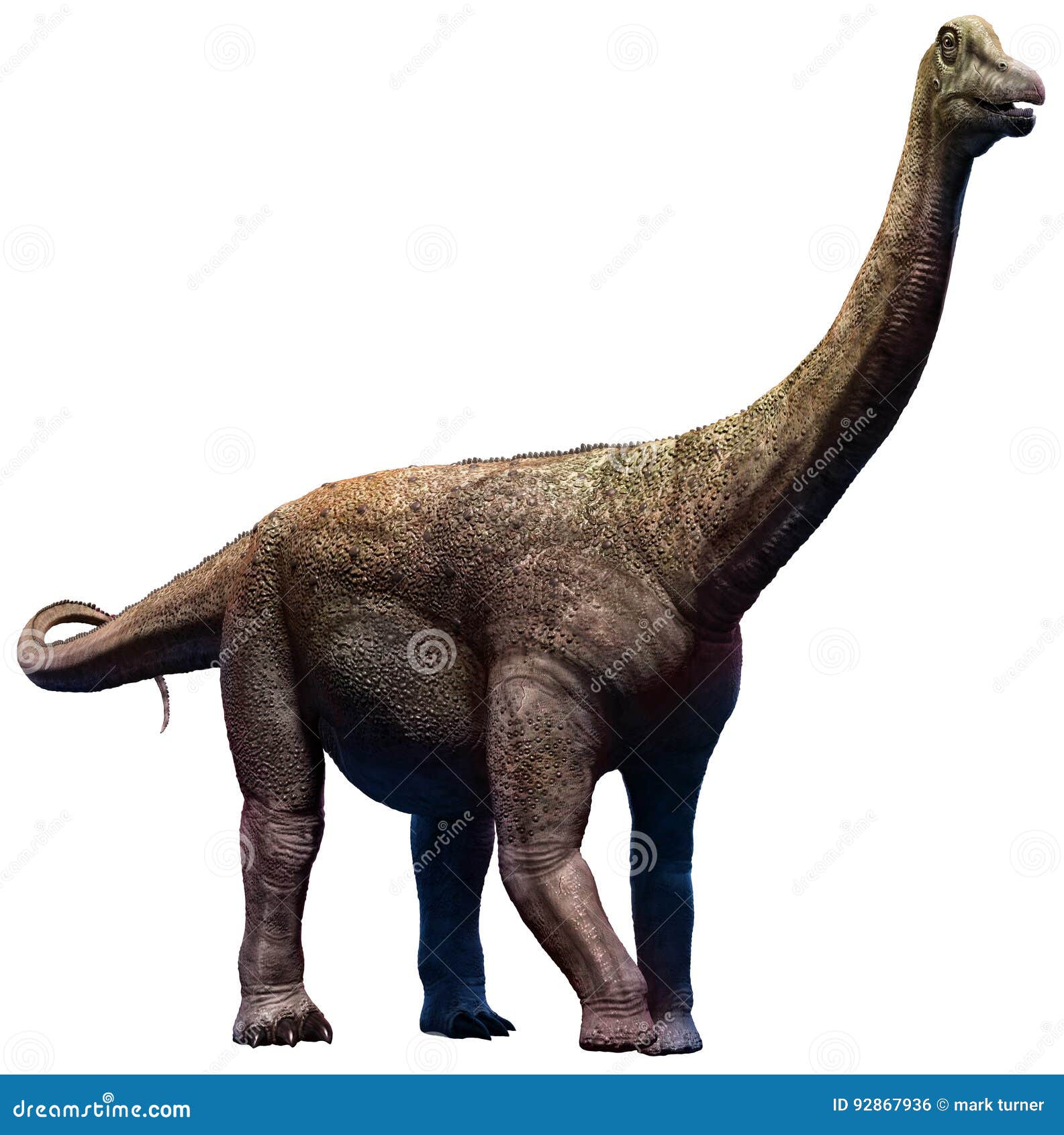 Saltasaurus stock illustration. Illustration of extinct - 92867936
