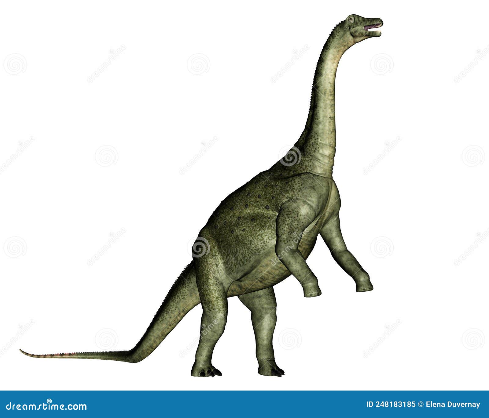 Saltasaurus Cartoons, Illustrations & Vector Stock Images - 15 Pictures ...