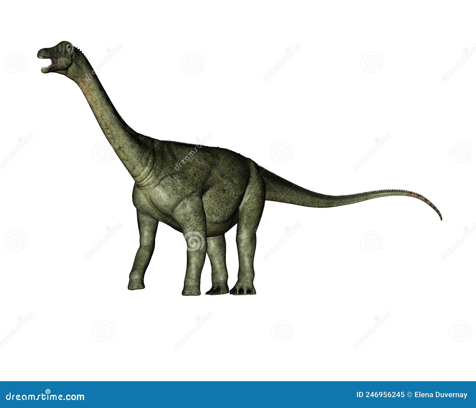 Saltasaurus Cartoons, Illustrations & Vector Stock Images - 15 Pictures ...
