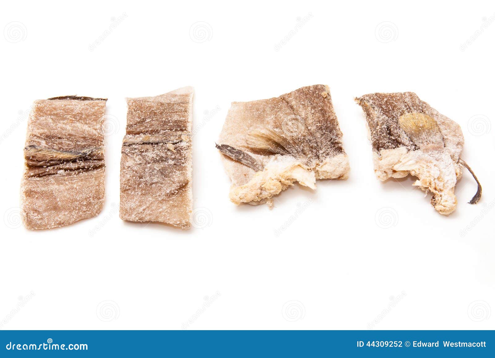 Salted cod stock photo. Image of white, preserved, marine - 44309252