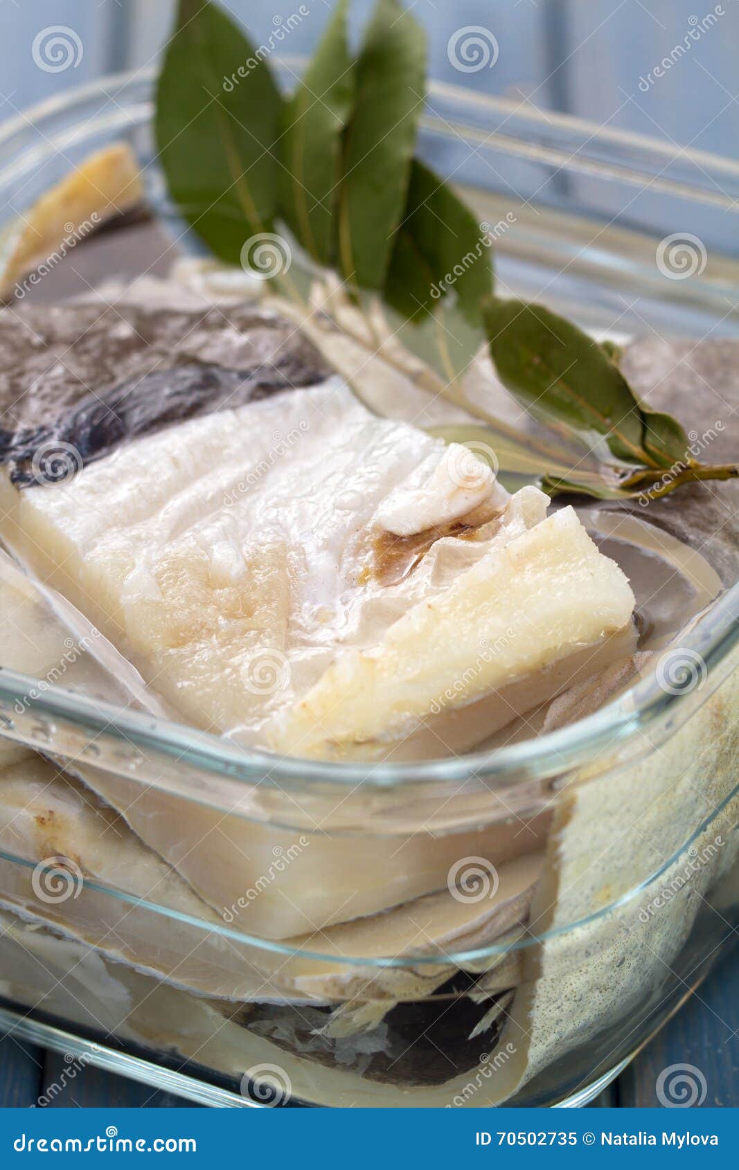Salted Cod Fish in Water in Glass Dish Stock Image - Image of fish ...