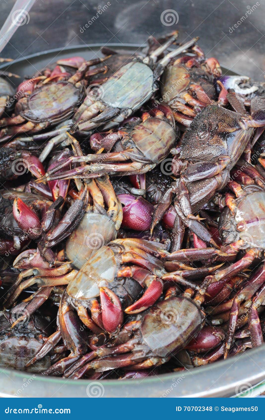 Salted Crab for Cooking in the Market. Stock Photo - Image of black ...