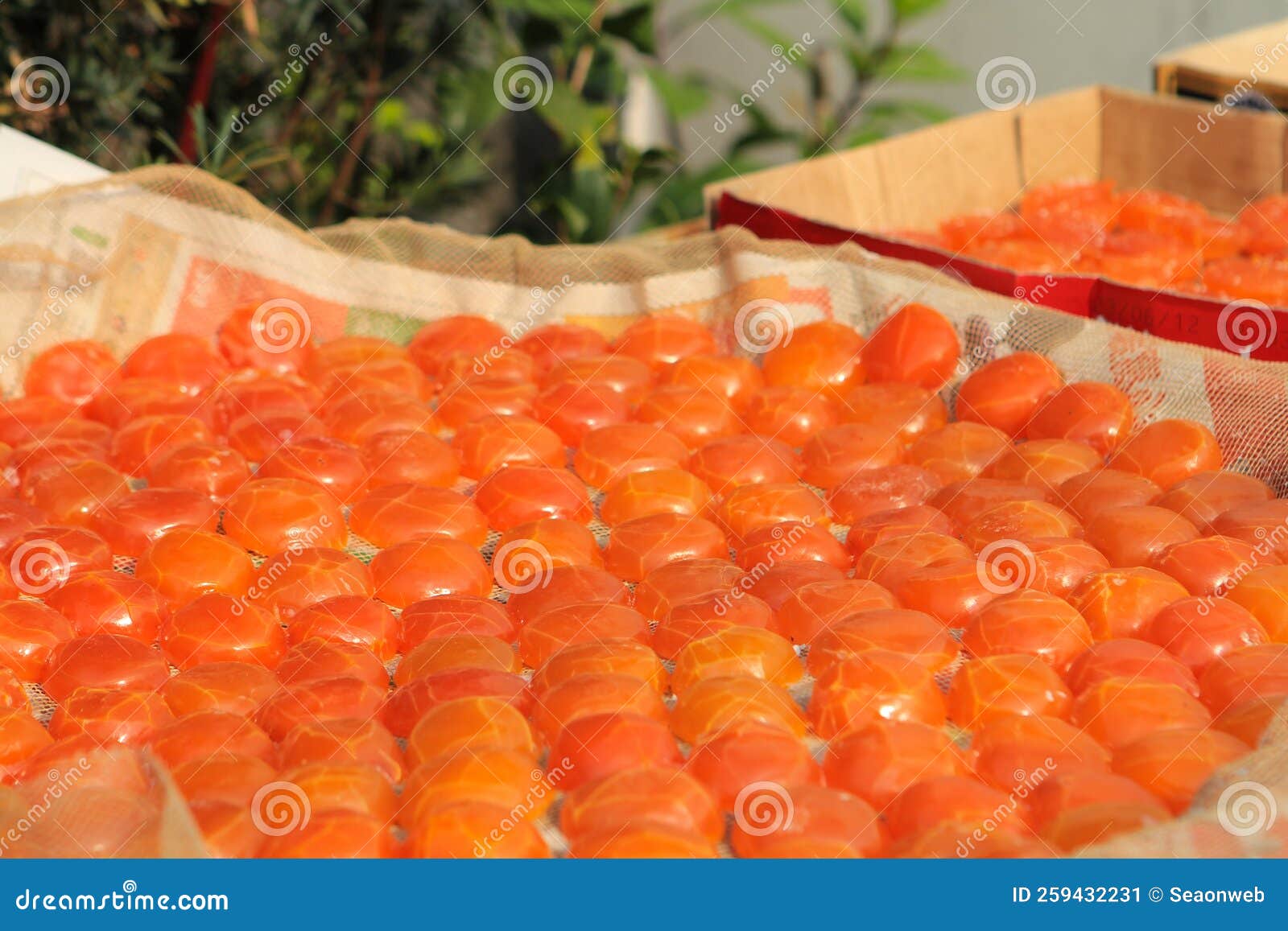 A Salted Egg Yolk Dry at Outdoor Stock Image - Image of salted, duck ...