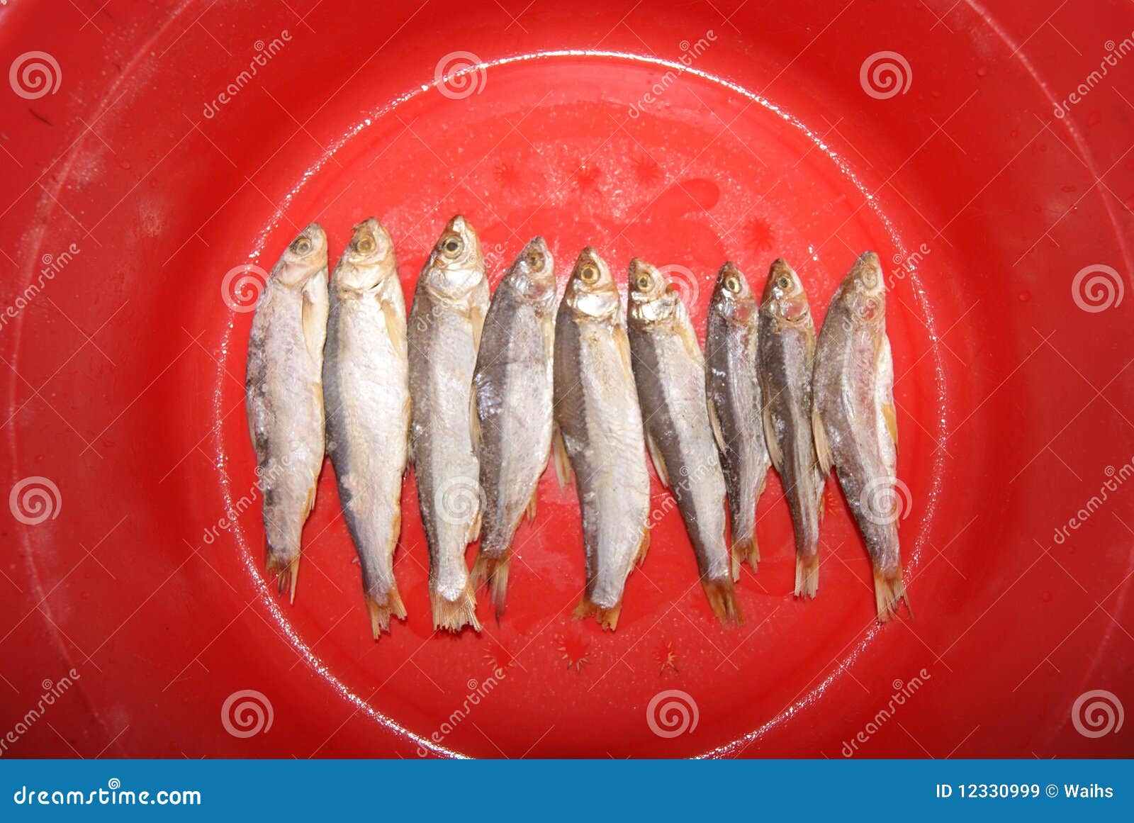 Salted fish stock image. Image of protection, salt, elderly - 12330999