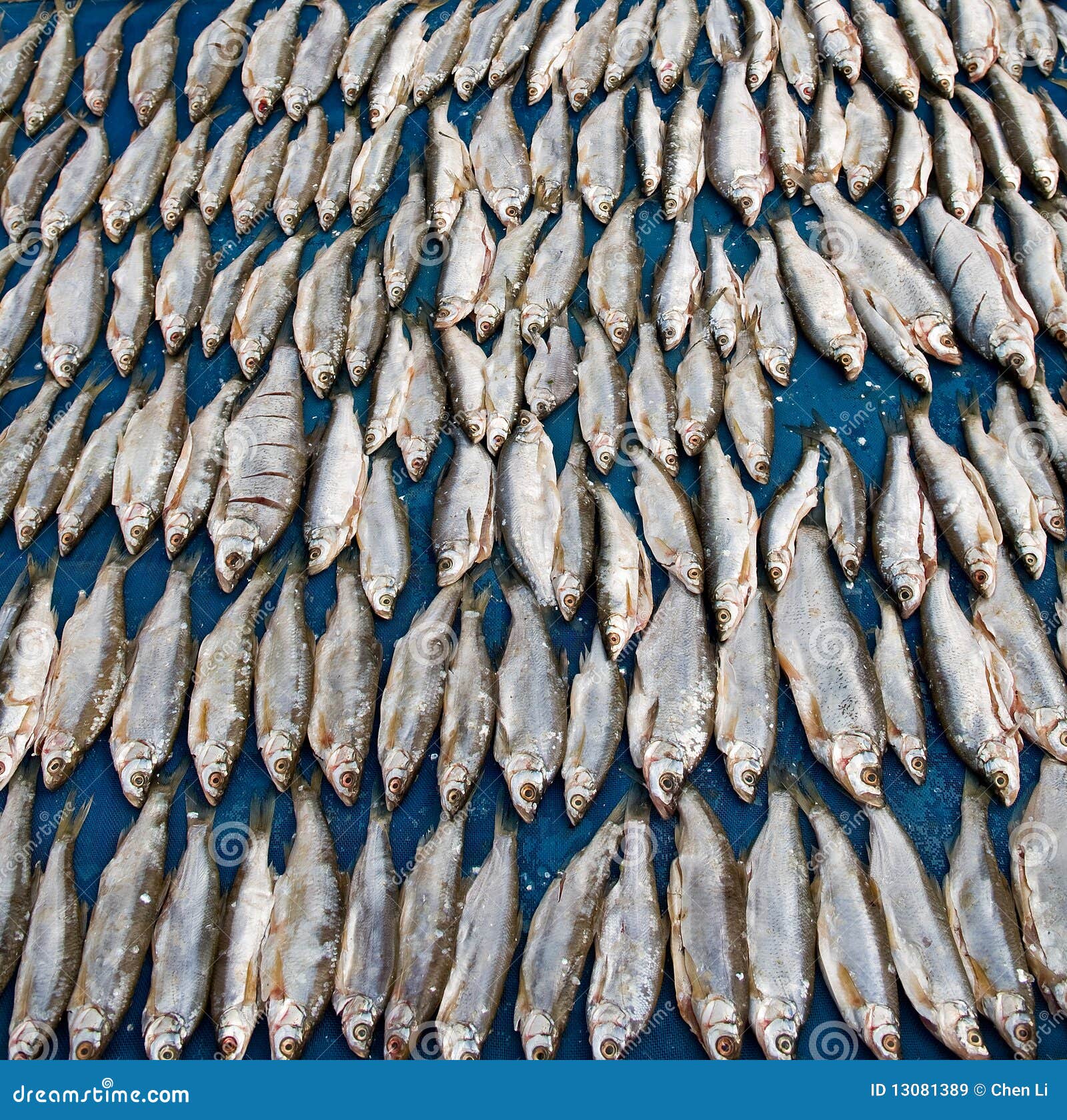 Salted fish stock image. Image of multi, animals, fish - 13081389