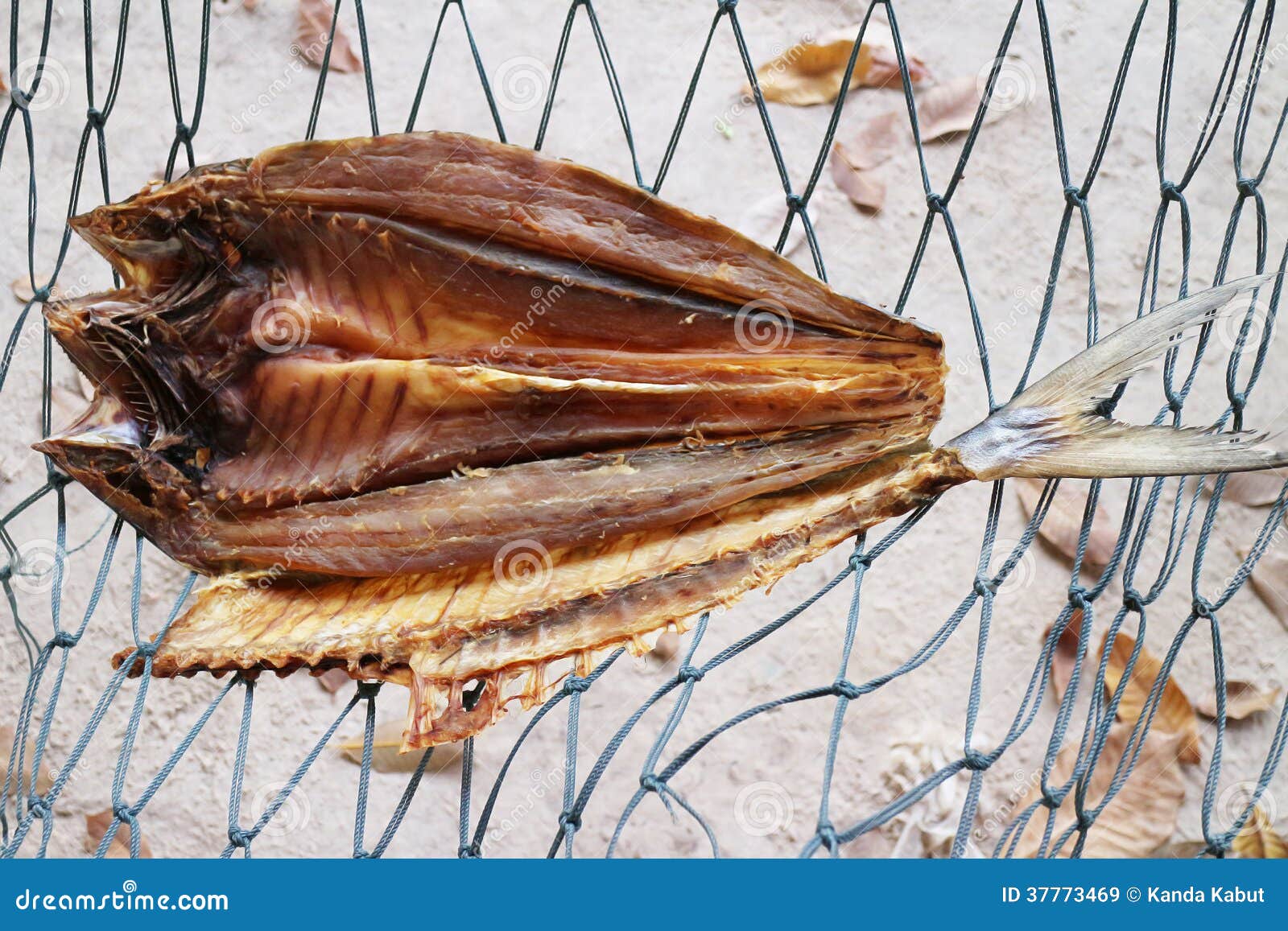 Salted fish stock image. Image of cool, albacore, lifestyle - 37773469