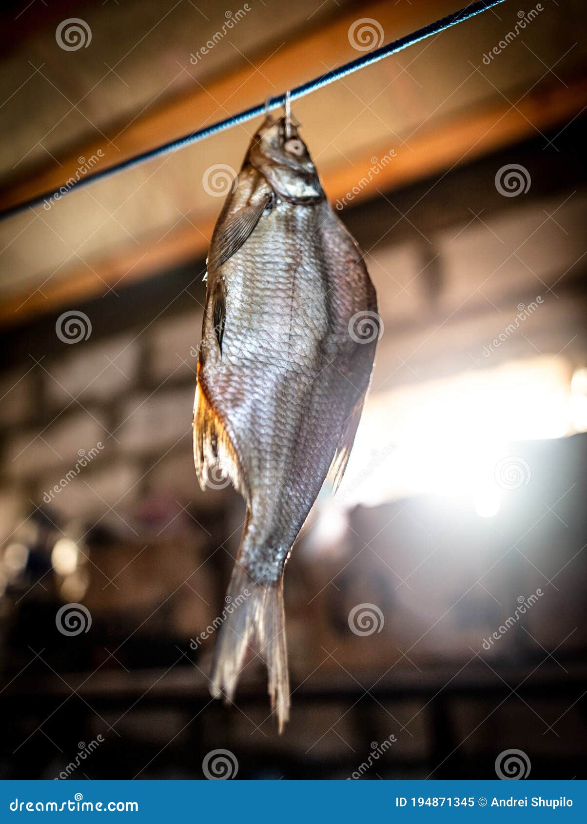 Salted Fish Dries on a Rope Stock Image - Image of fresh, dead: 194871345