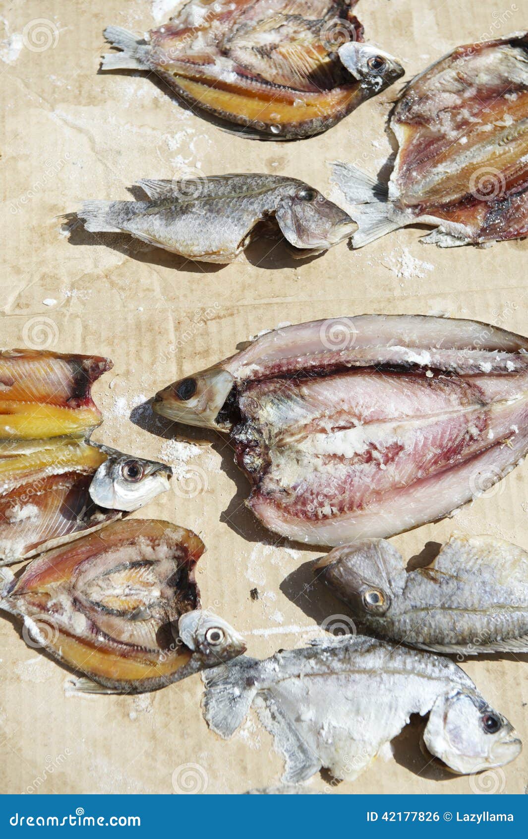 Fish Drying Racks Royalty-Free Stock Image | CartoonDealer.com #137308384