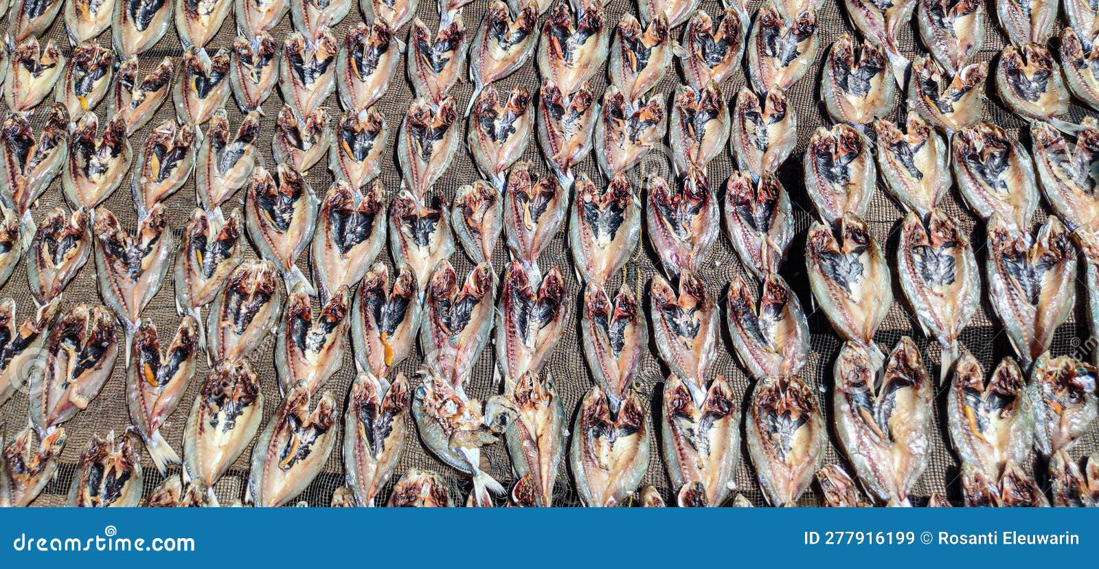 Salted Fish Drying in the Sun Stock Image - Image of drying, ikan ...