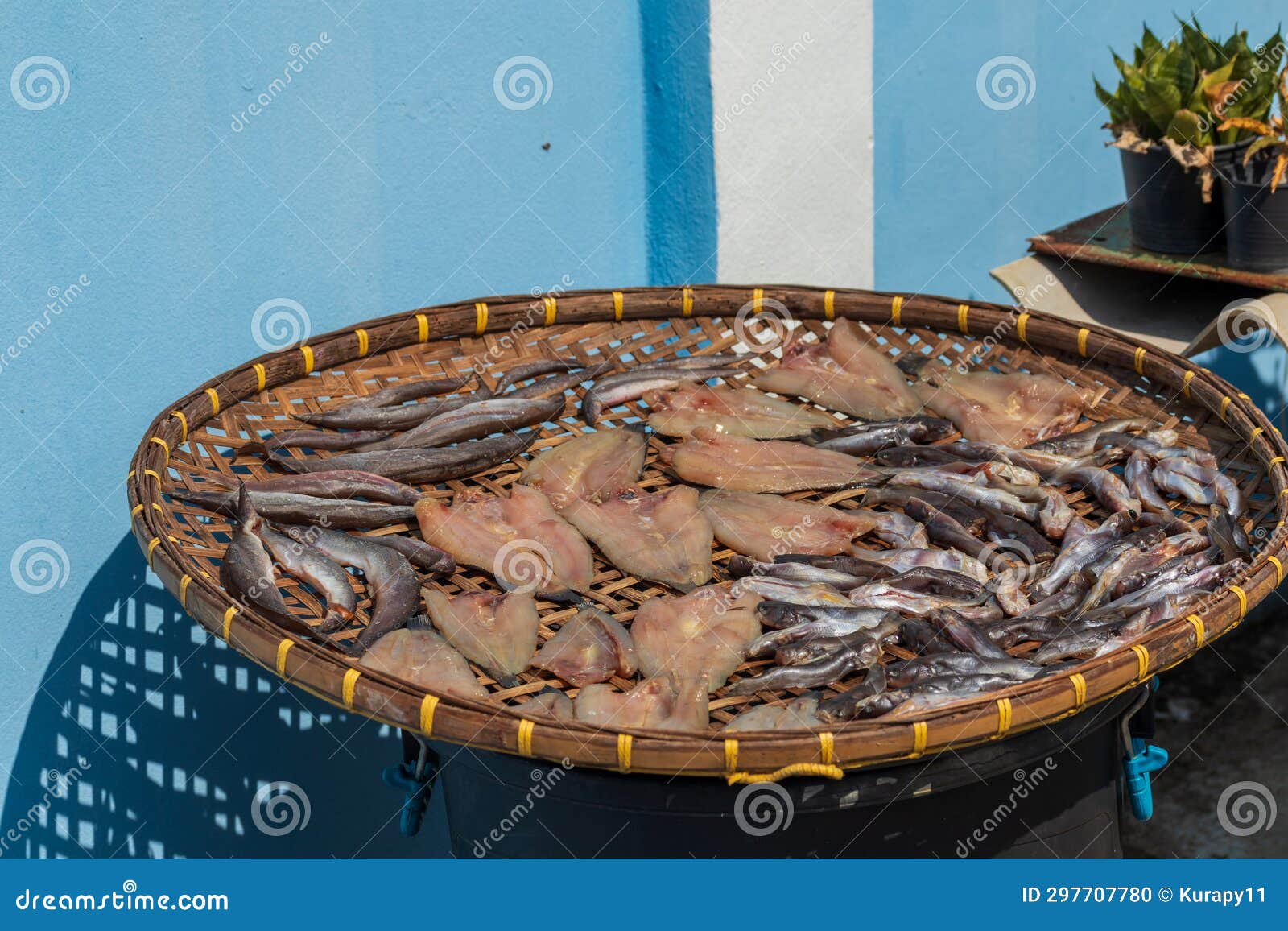 Salted Fish is Fish that Been Preserved by Means of Salting Stock Photo ...