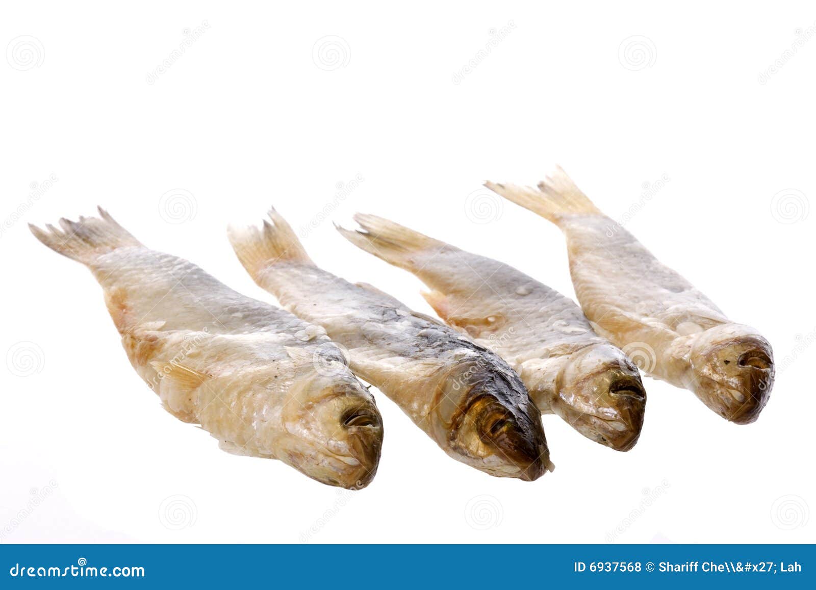 Salted Fish Isolated stock photo. Image of preserve, nature - 6937568