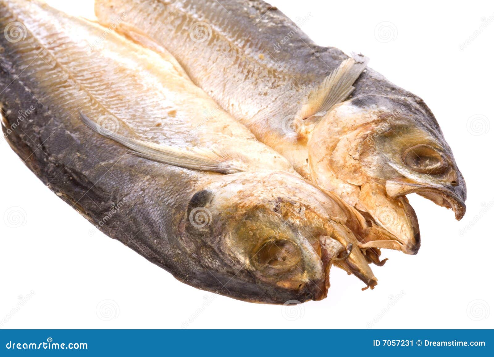 Salted Fish Isolated stock image. Image of nature, preserve - 7057231