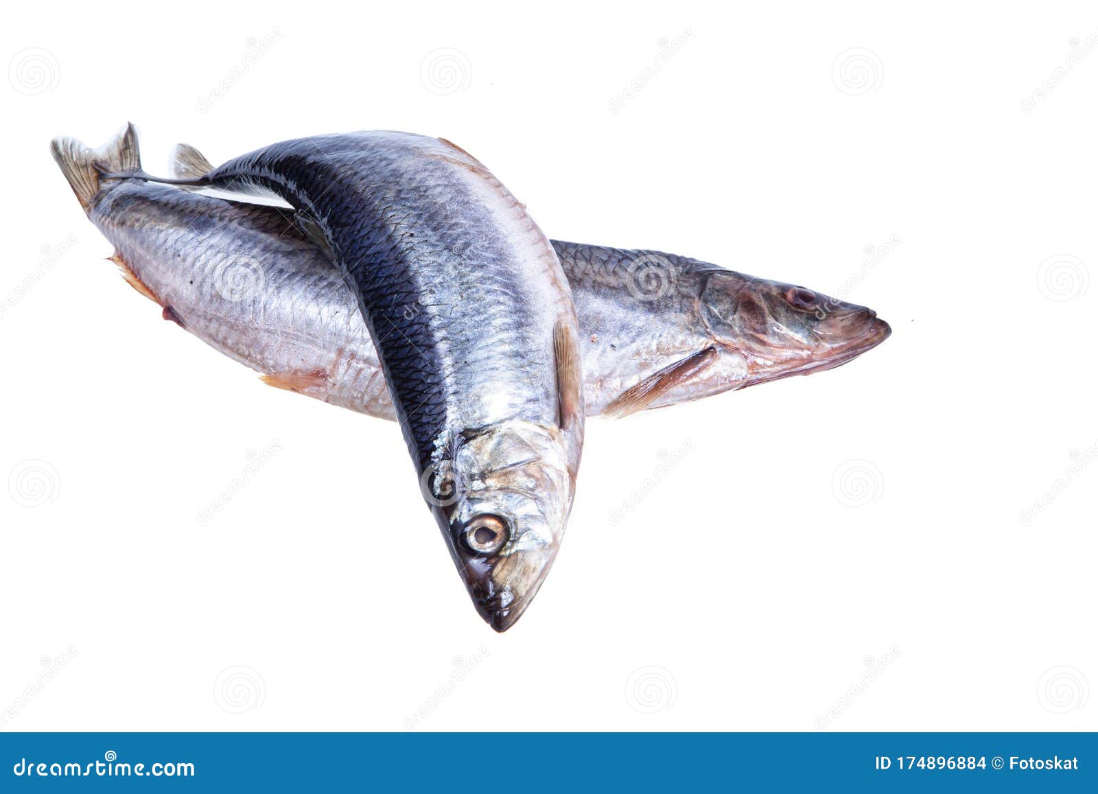 Salted Fish stock photo. Image of dinner, brown, meal - 174896884