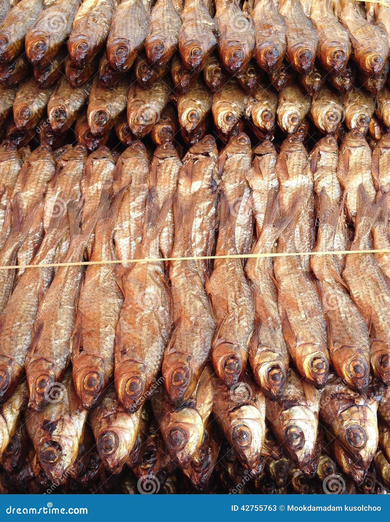Salted fish stock image. Image of dried, salty, fish - 42755763