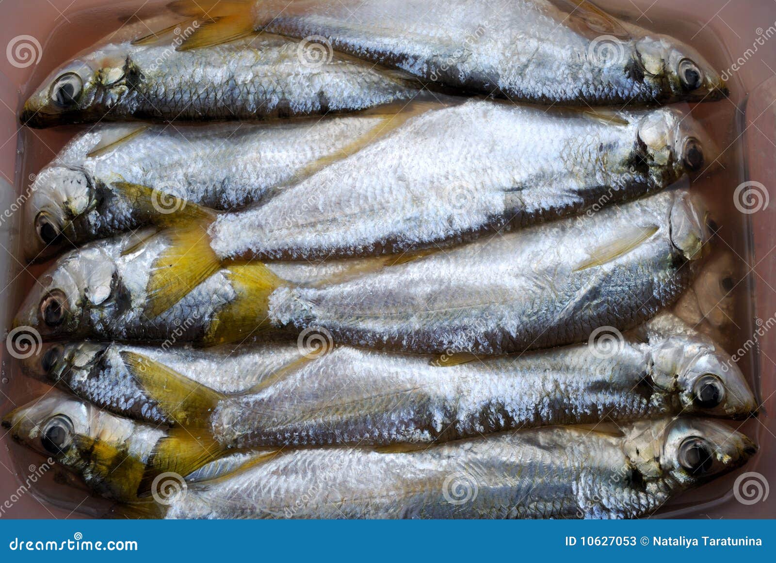 The salted fish-pelada stock image. Image of pelada, salted - 10627053