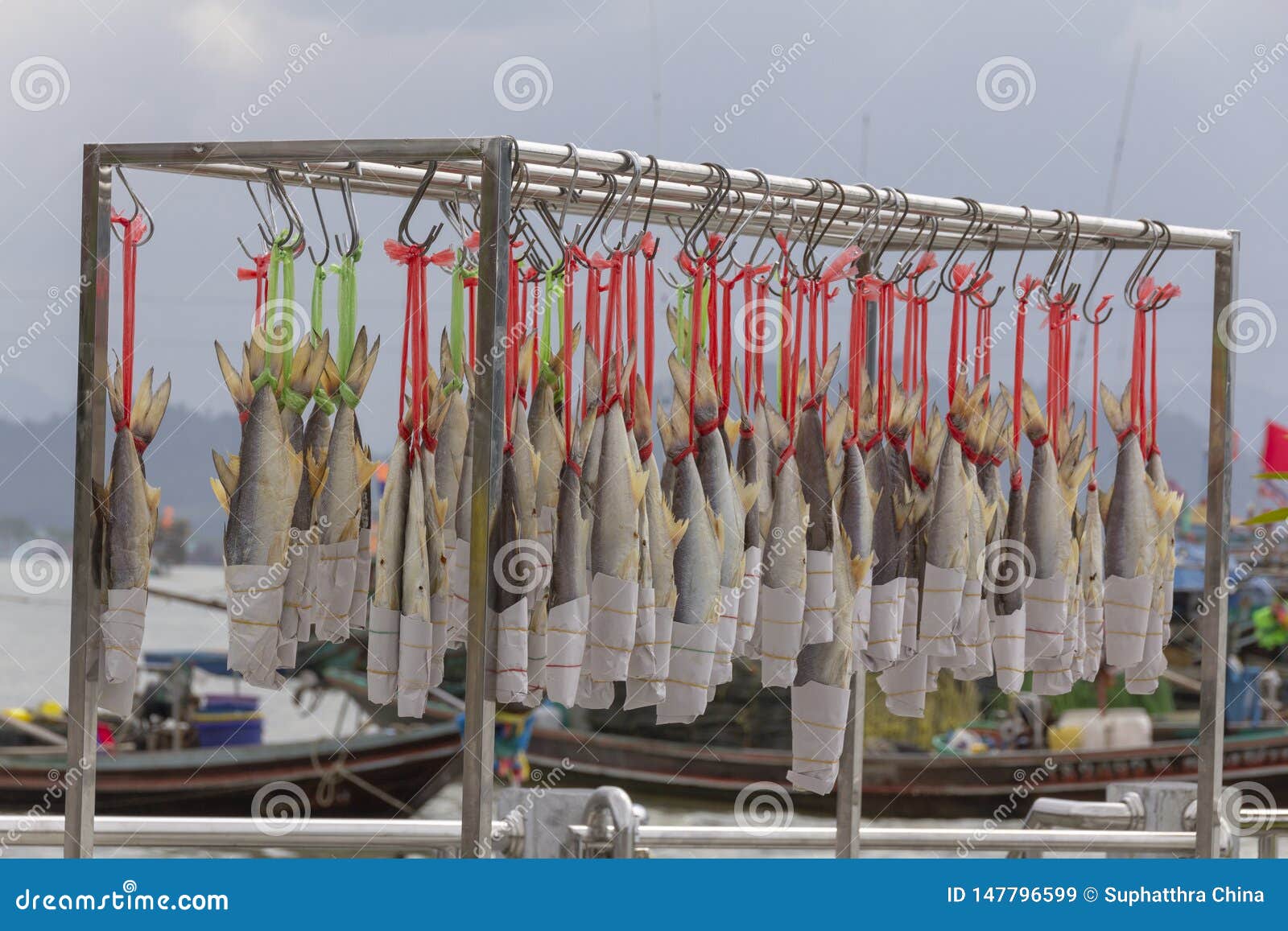 Sun dried salted fish stock image. Image of food, hanging - 147796599