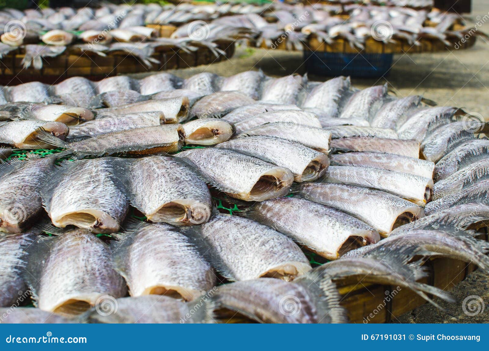 Salted Fish in Sunshine on Net Stock Image - Image of salted ...
