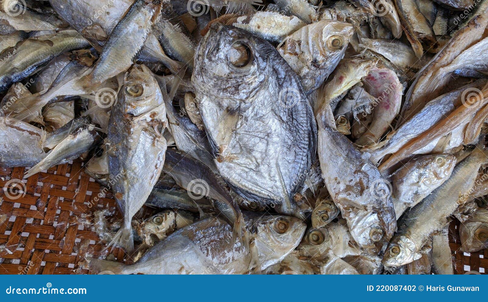 Salted Fish To Be Dried in the Sun Stock Photo - Image of fish, salted ...
