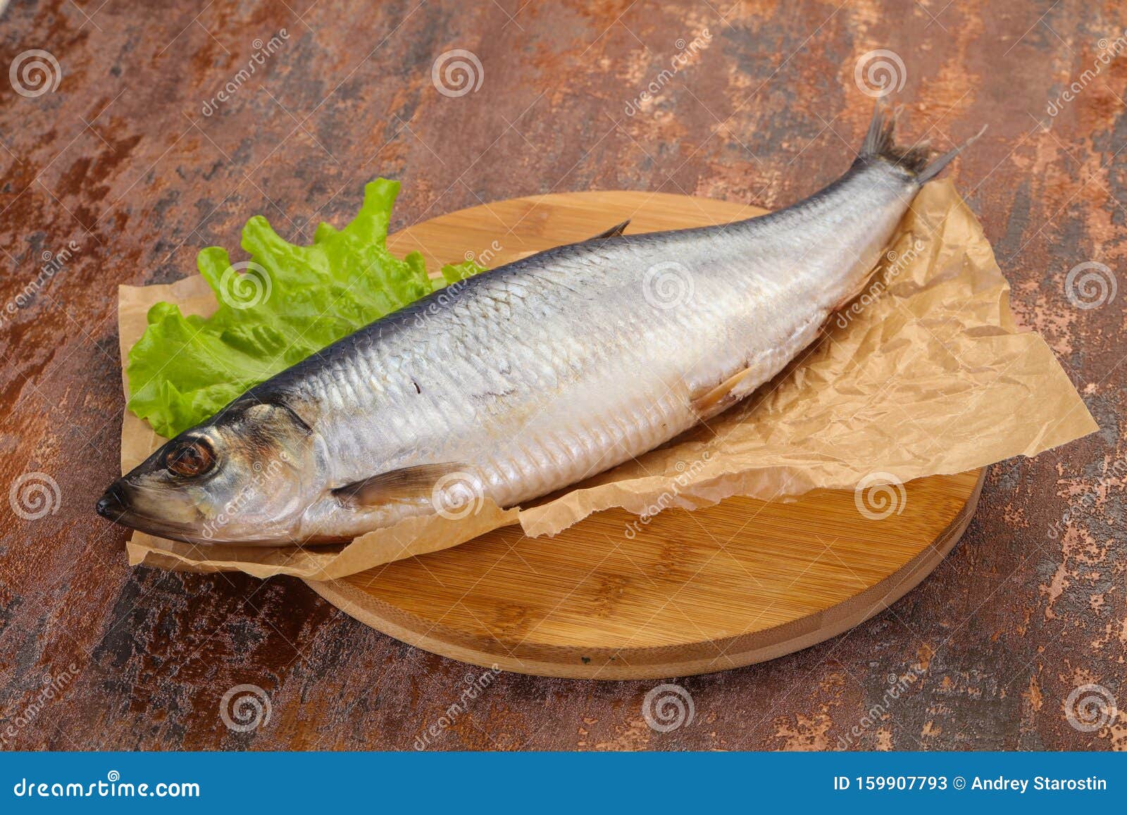 Salted herring fish stock image. Image of gourmet, cuisine - 159907793