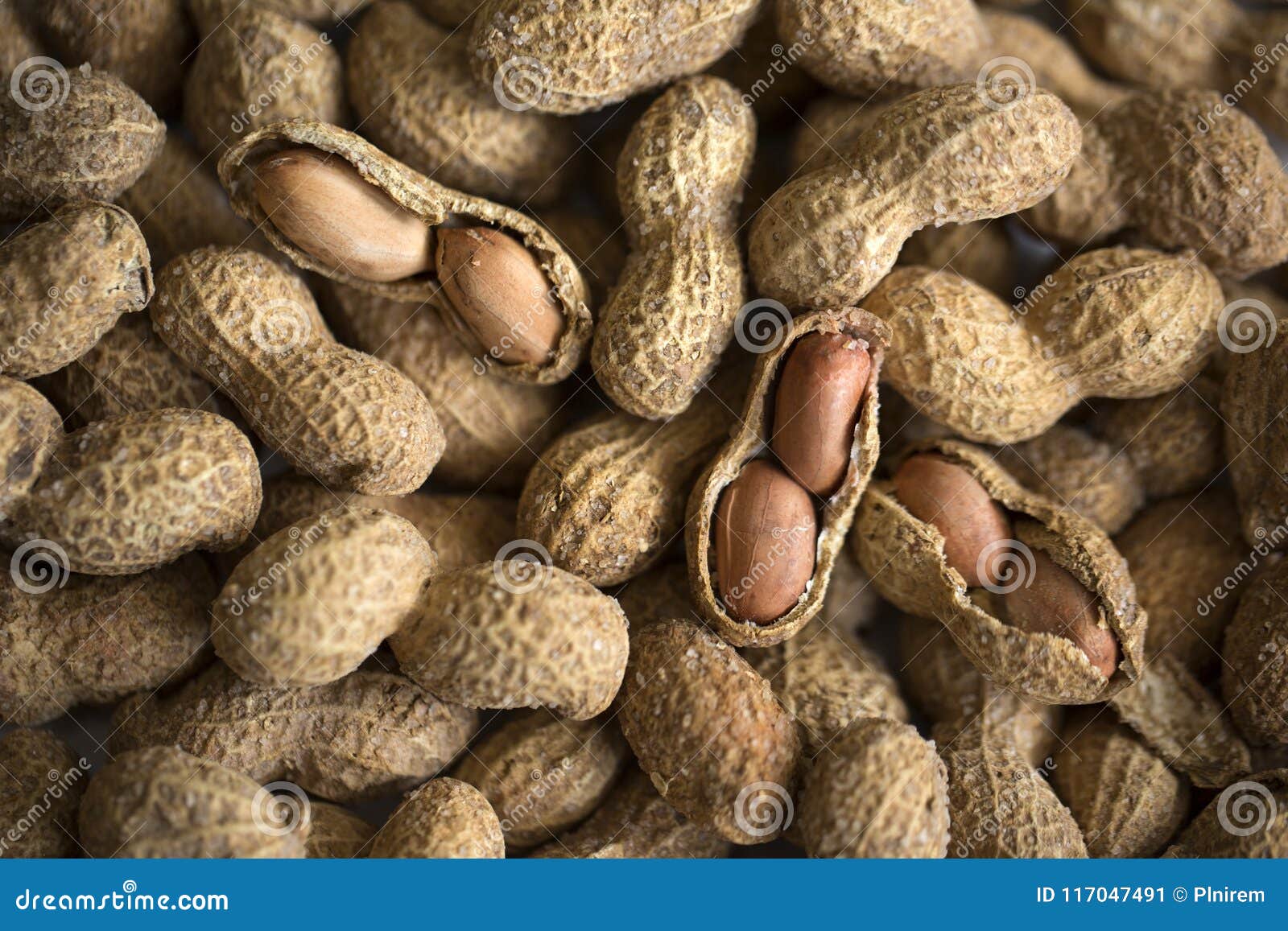 Salted Peanuts or Groundnut Stock Image - Image of healthy, ground ...