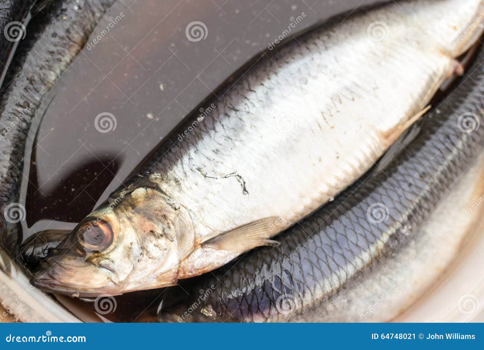 248 Brine Solution Stock Photos - Free & Royalty-Free Stock Photos from ...