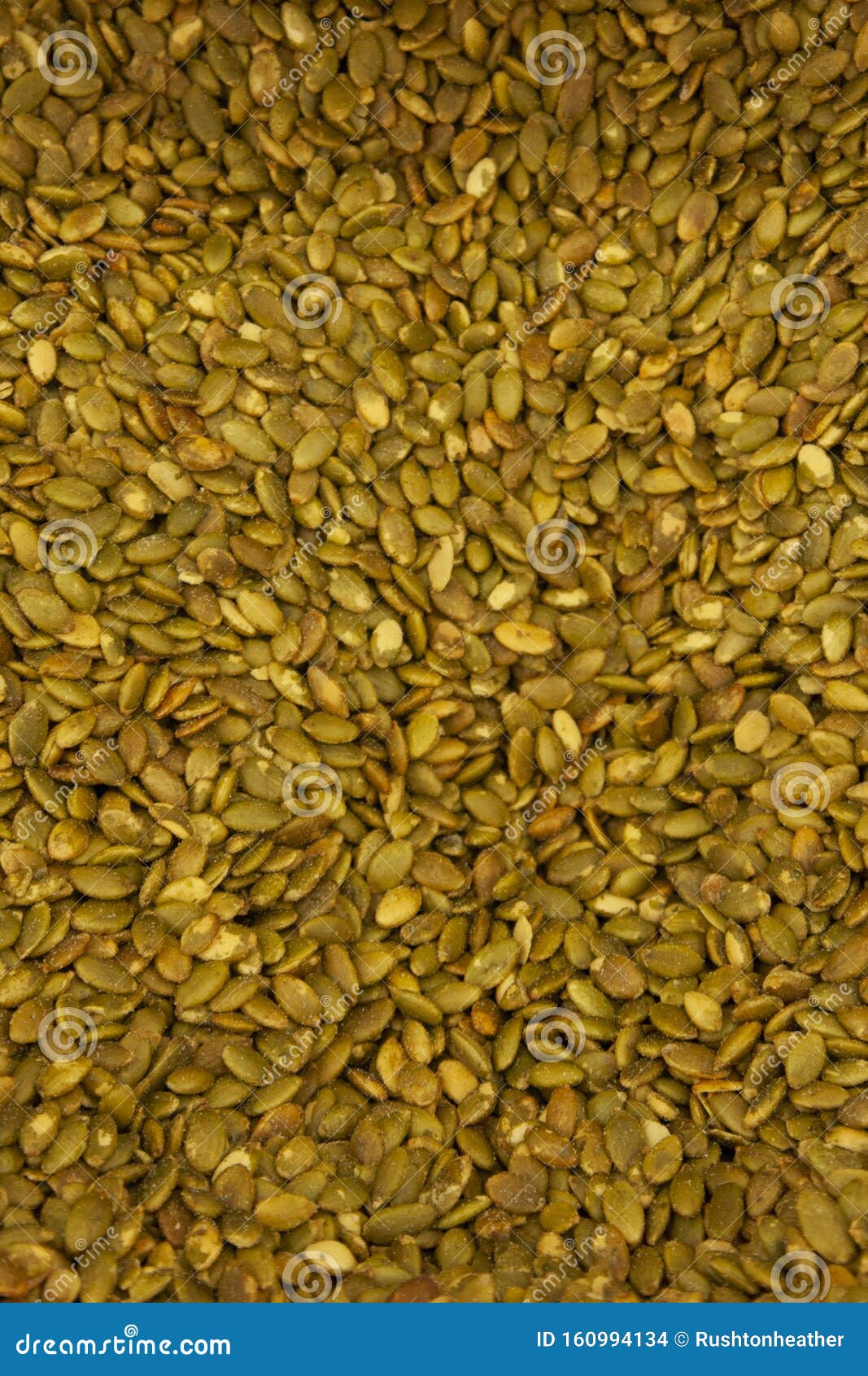 Salted pumpkin seeds stock photo. Image of multiple - 160994134