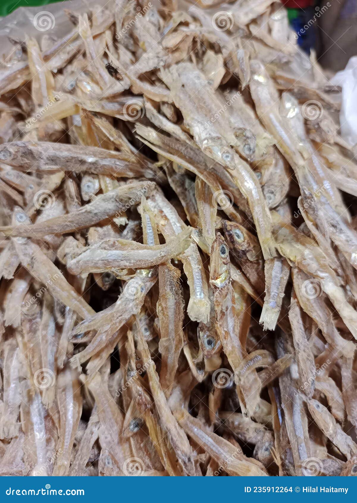 Salted Small Fish, Still Raw Stock Photo - Image of plant, branch ...