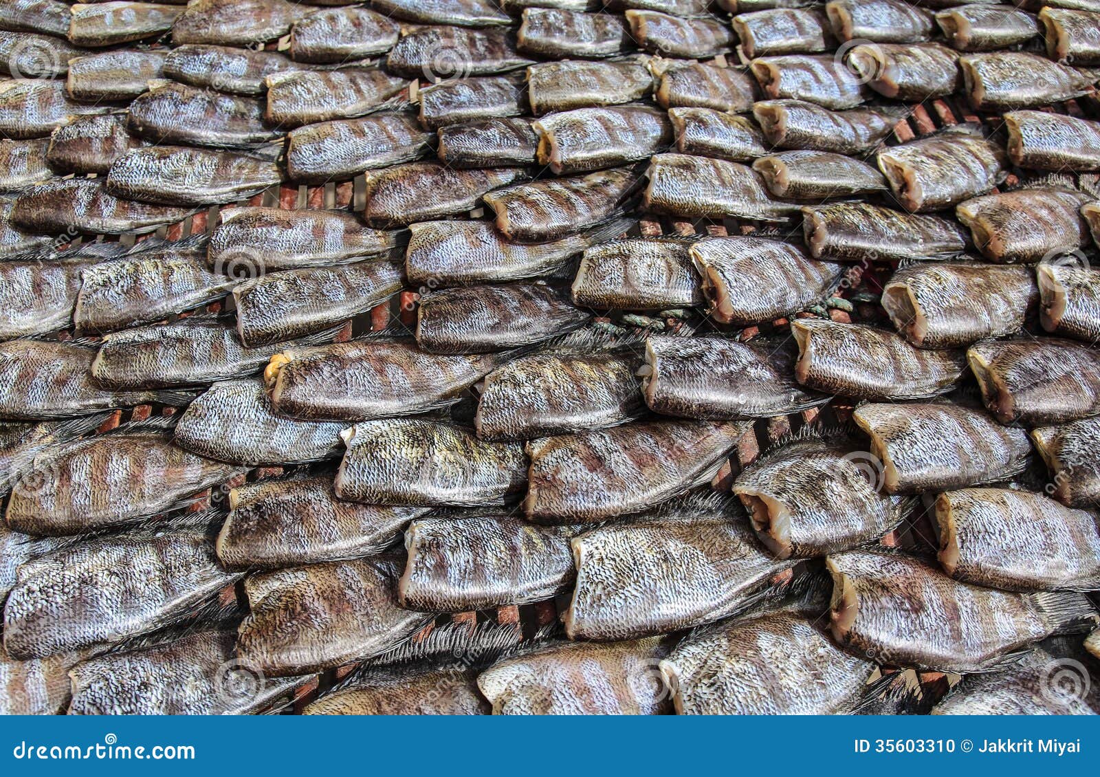 Salted spinefoot fish. stock photo. Image of nature, culture - 35603310