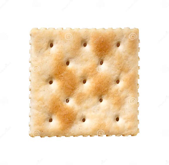 Saltine Cracker Isolated on White Stock Photo - Image of macro, saltine ...