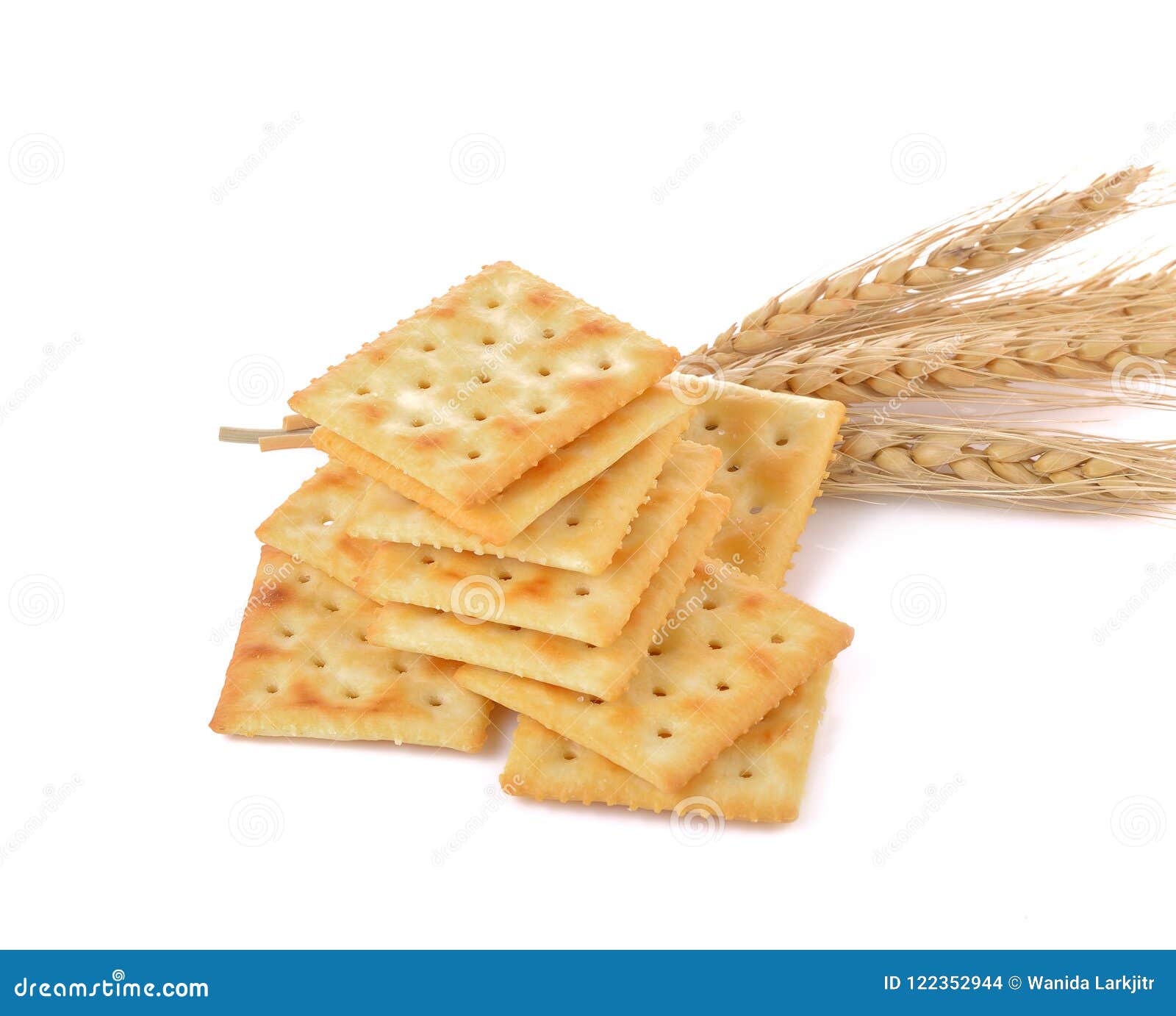 Saltine Cracker on White Background Stock Photo - Image of isolated ...