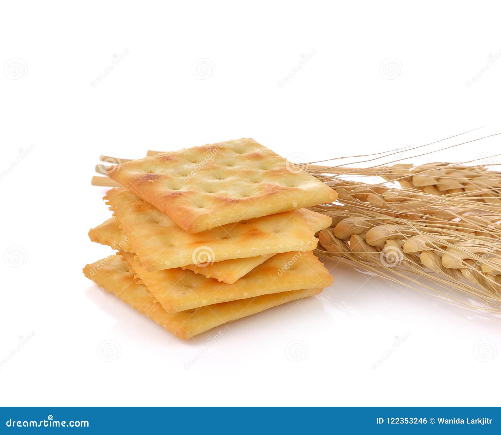 Saltine Cracker on White Background Stock Photo - Image of saltine ...