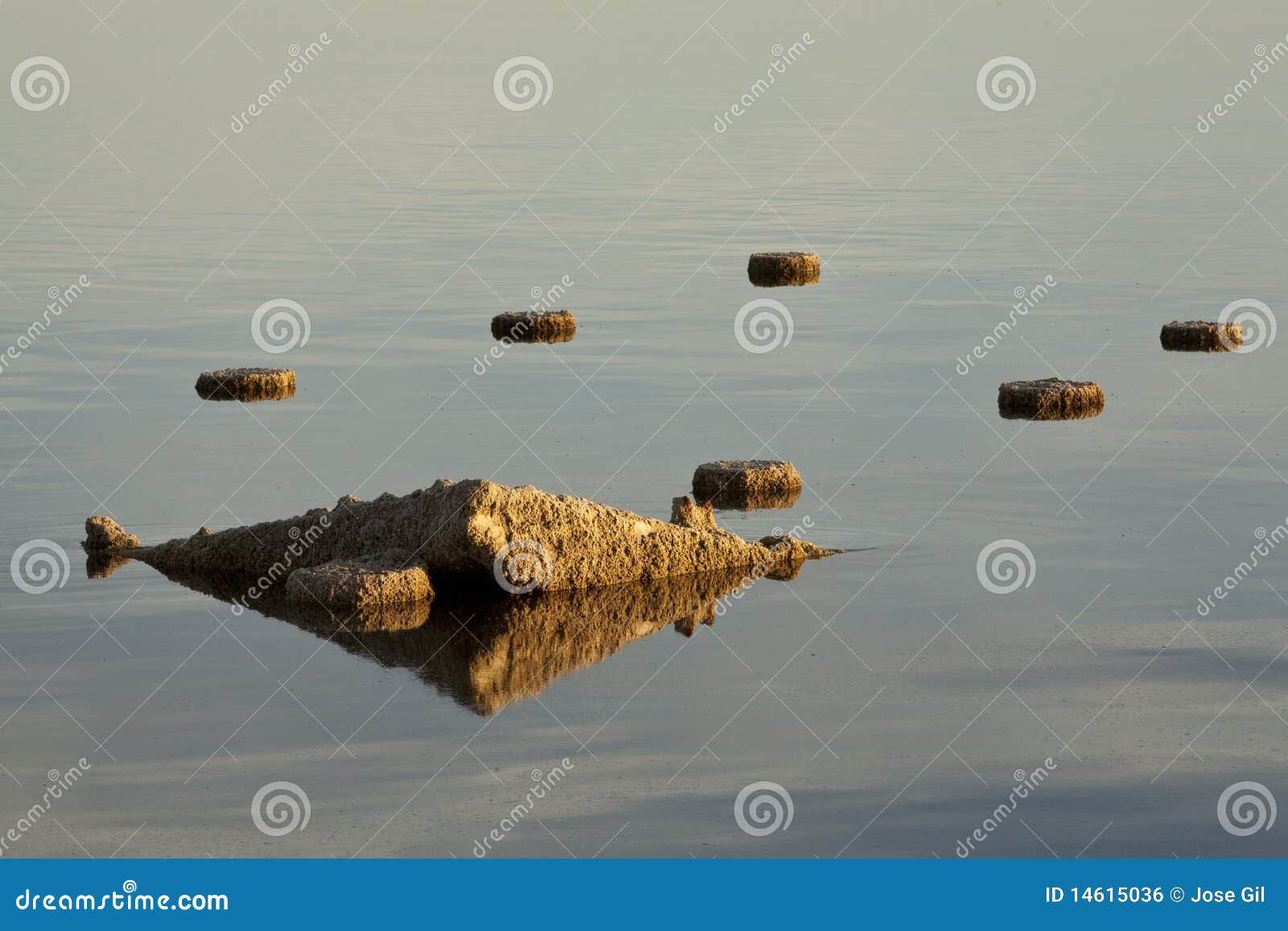Salton Sea Stumps stock photo. Image of glassy, calm - 14615036