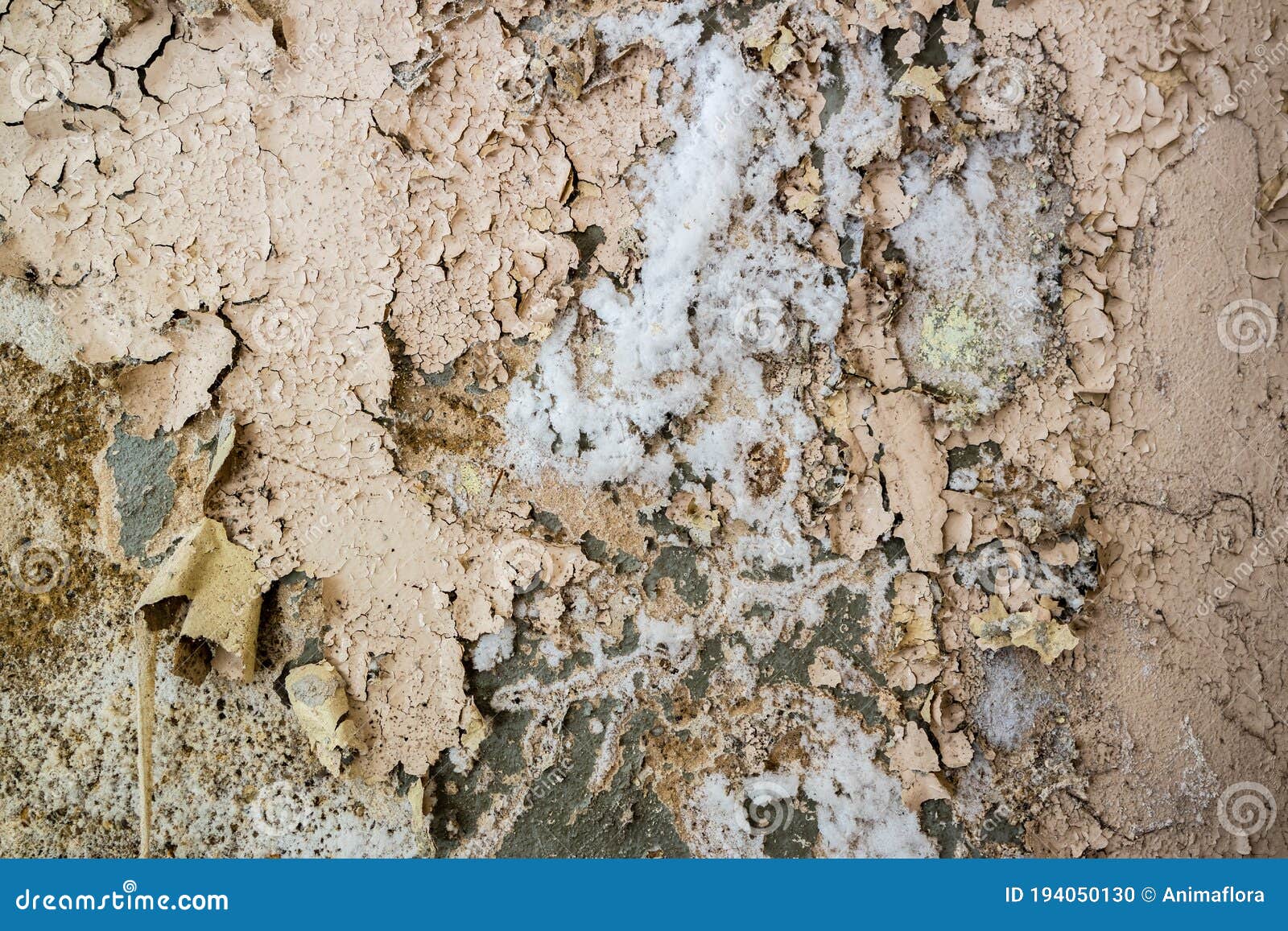 Saltpeter on the Wall after a Flood Stock Photo - Image of broken, gray ...
