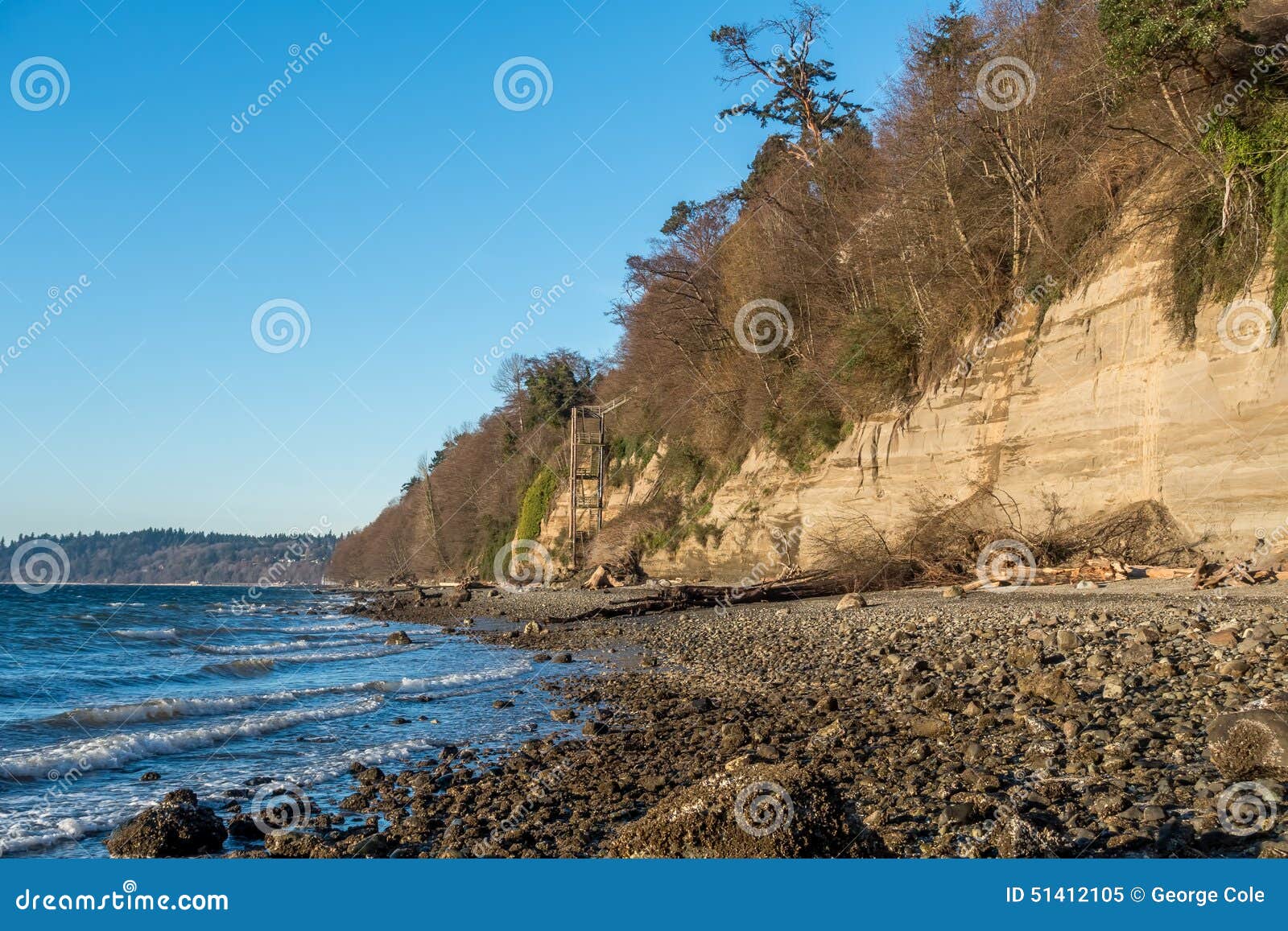 Saltwater State Park in Washington State Stock Image - Image of ...